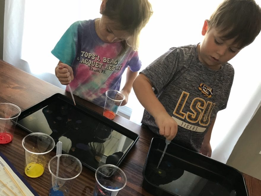 How to Have Fun and Easy Science Activities At Home - The Southerly ...