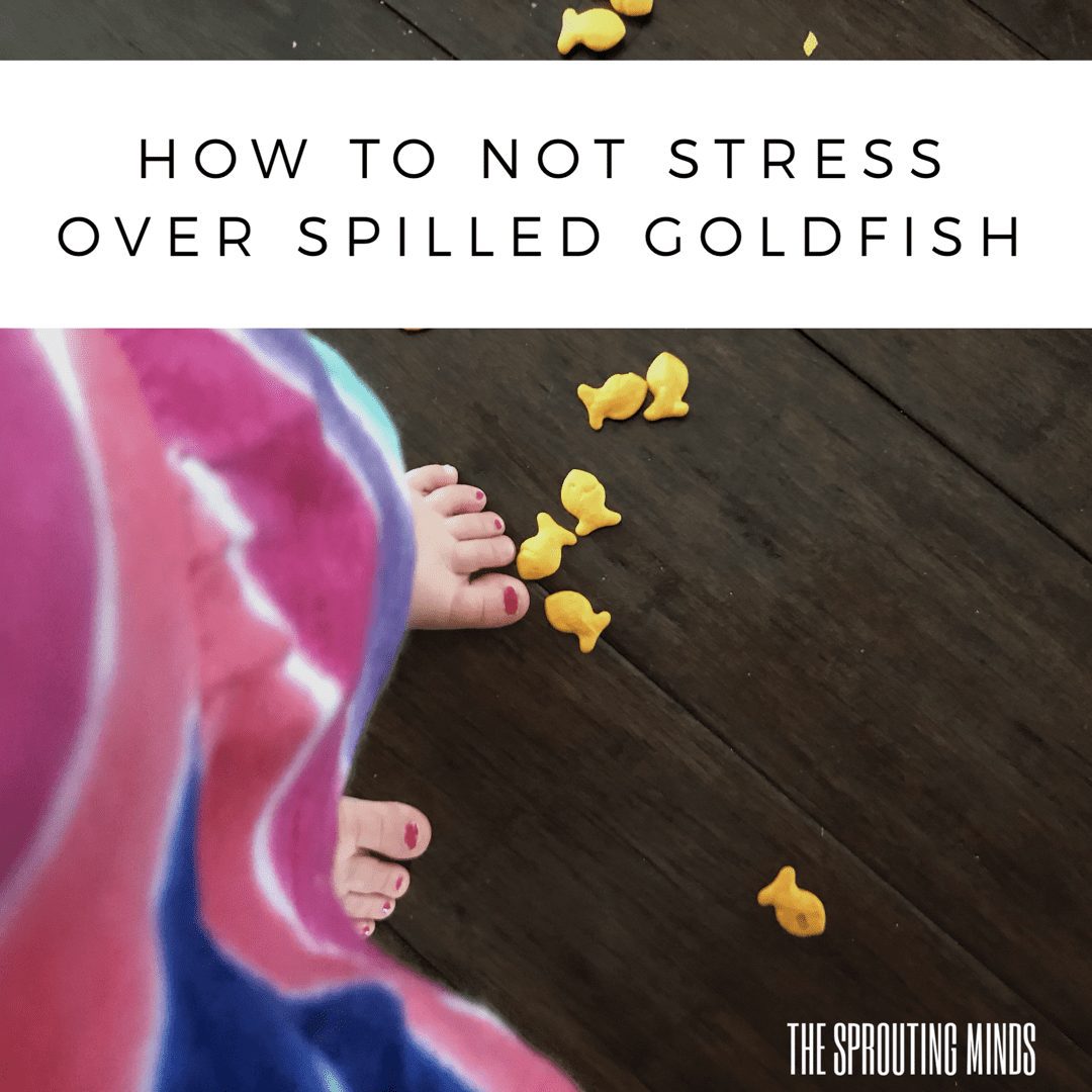 How to Not Stress Over Spilled Goldfish - The Southerly Magnolia