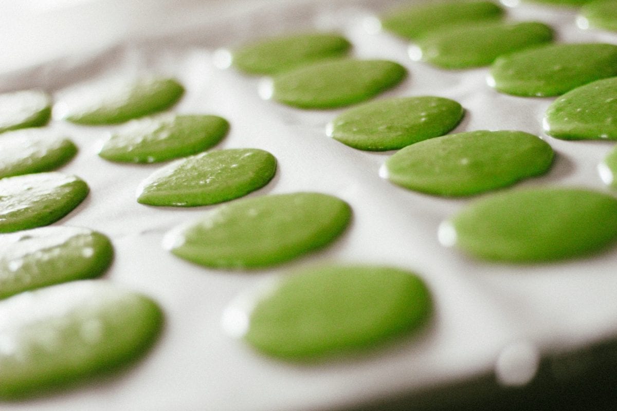 Easy Macaron Recipe with a Buttercream Filling - The Southerly Magnolia