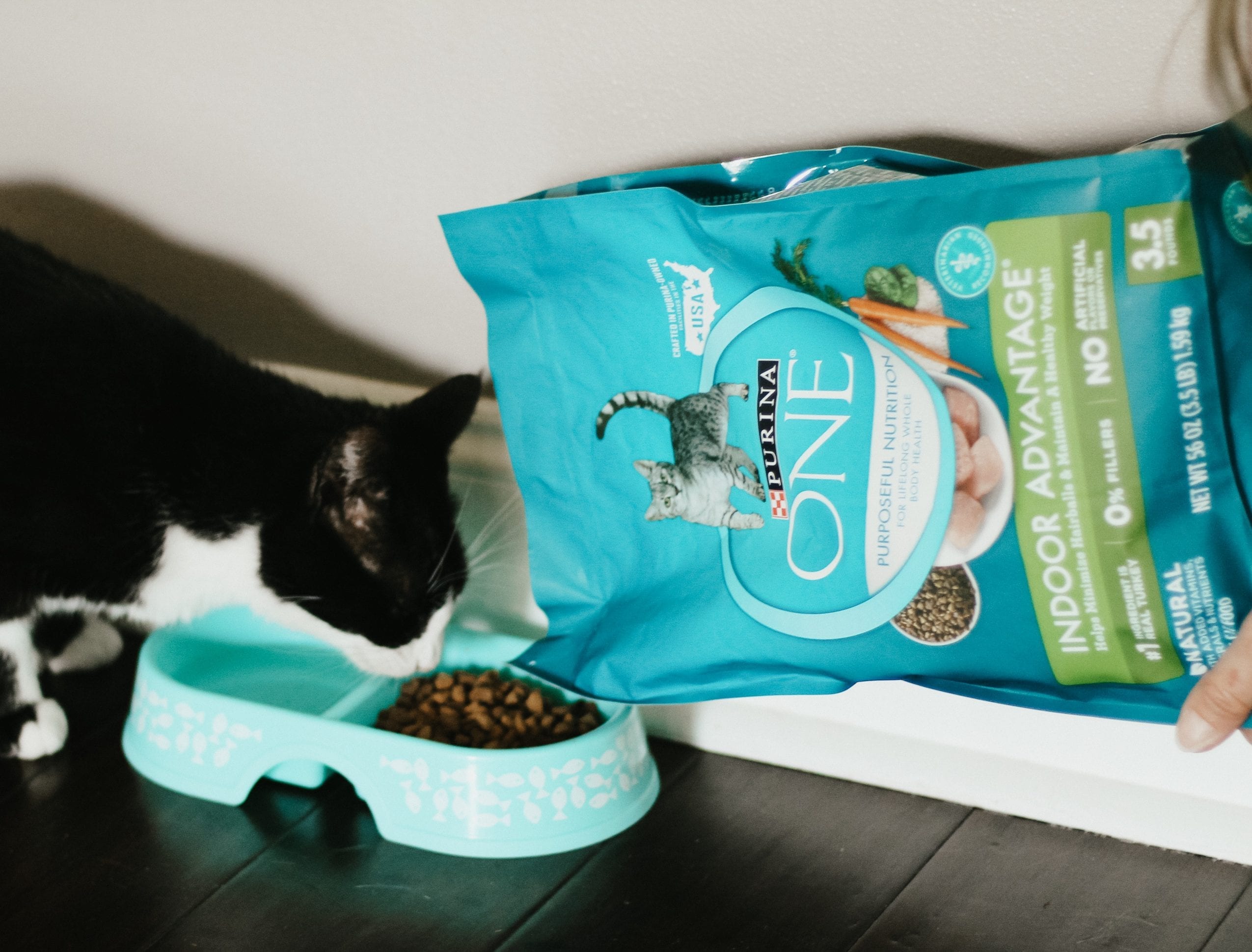 Purina ONE 28 Challenge: Beyond the 28 Days - The Southerly Magnolia