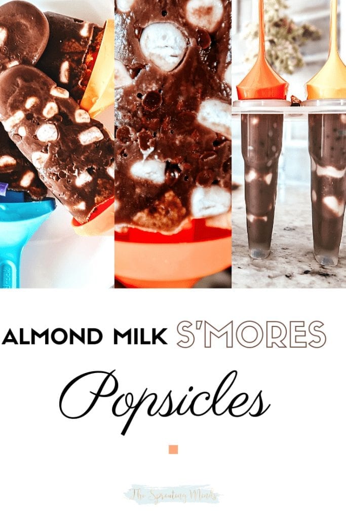 Homemade Almond Milk S'mores Popsicles - The Southerly Magnolia
