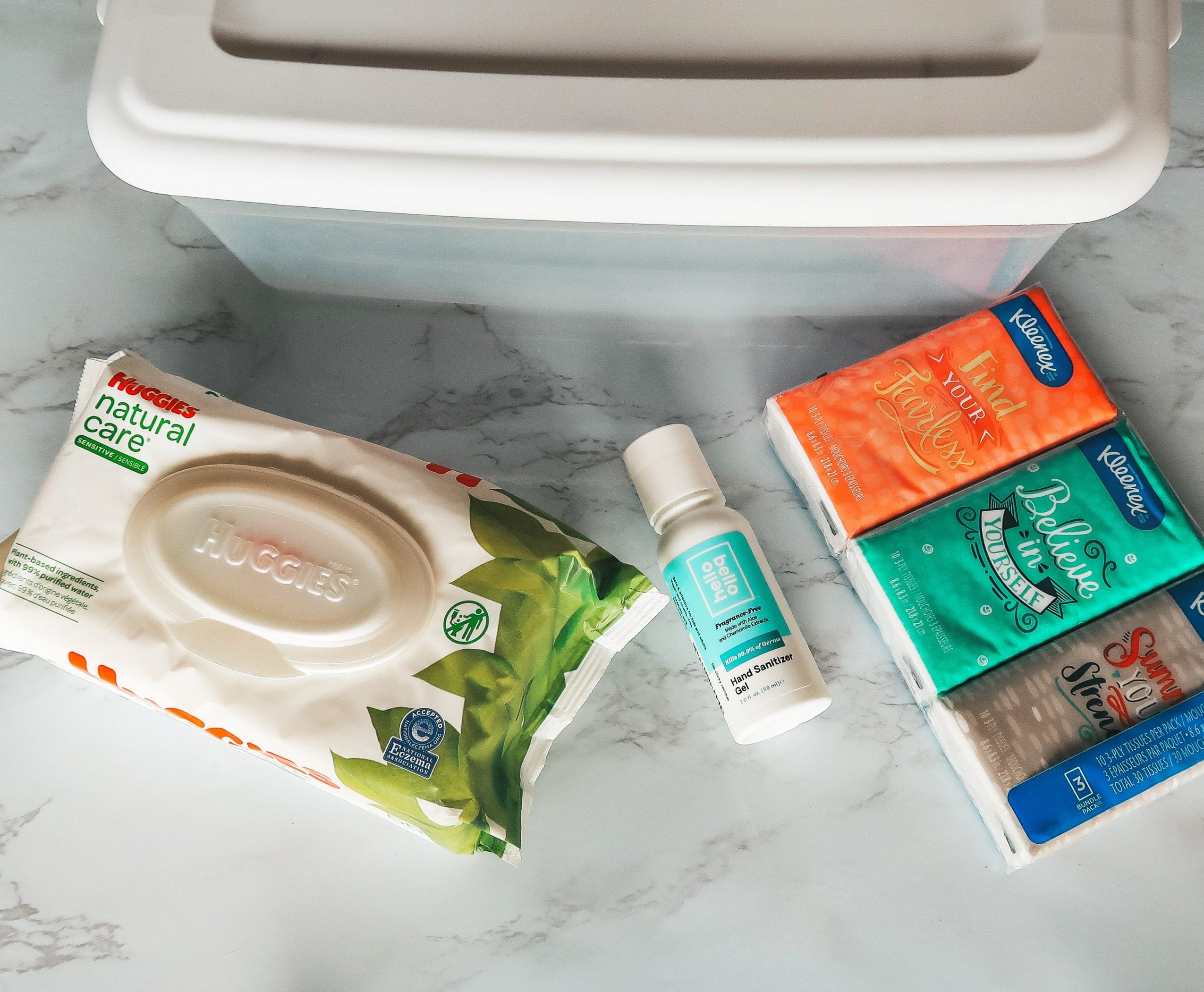 Sanitizing Traveling Kit - The Southerly Magnolia