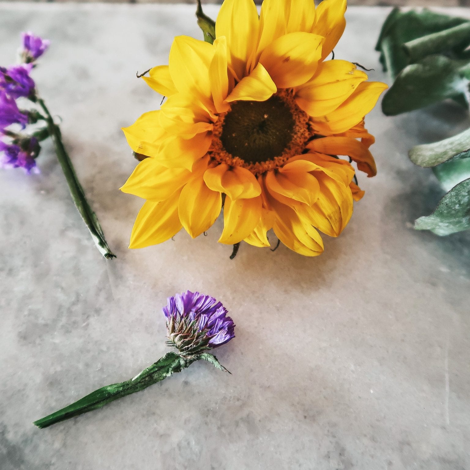 How to Make Laminated Flowers Bookmark - The Southerly Magnolia