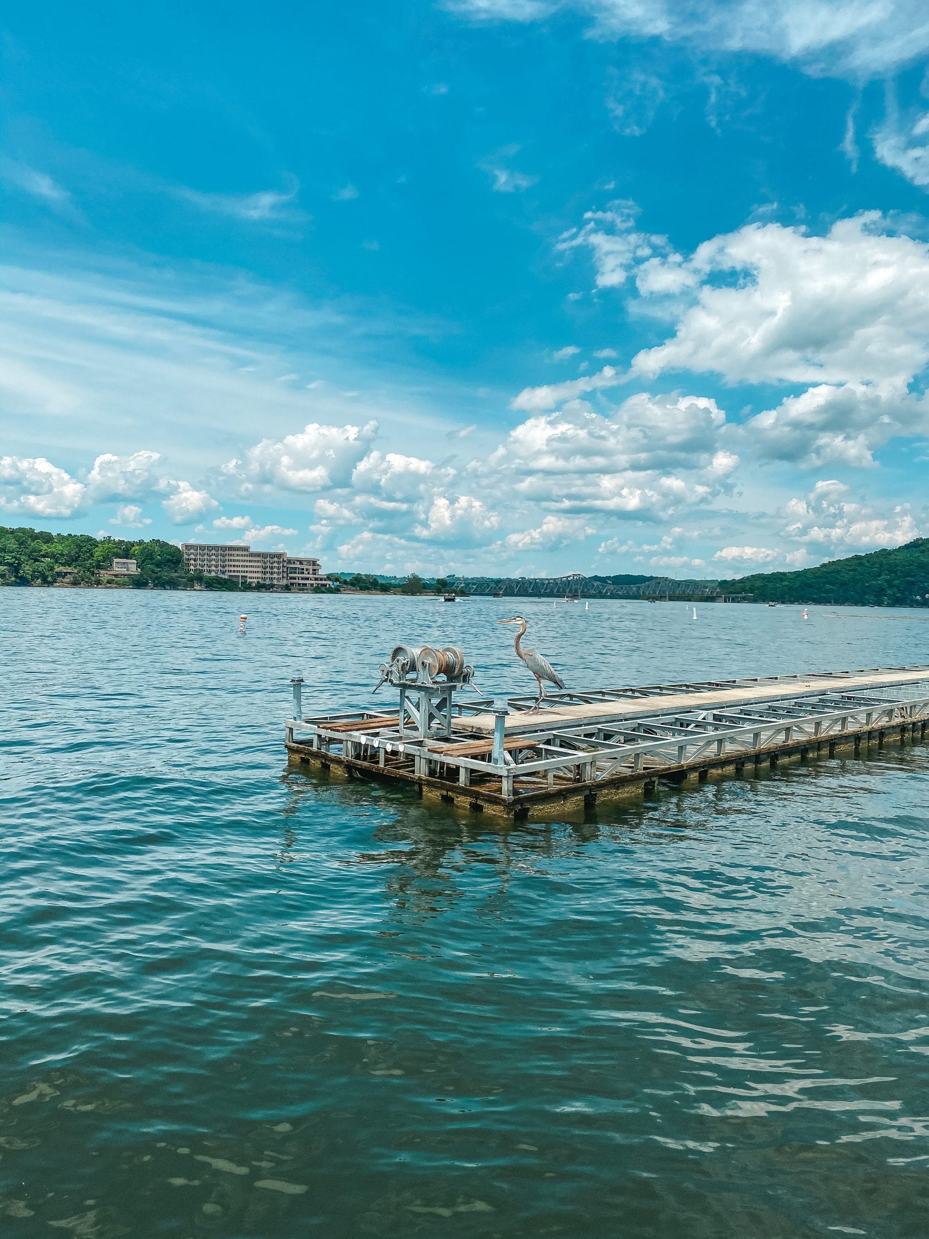 Table Rock Lake - The Southerly Magnolia