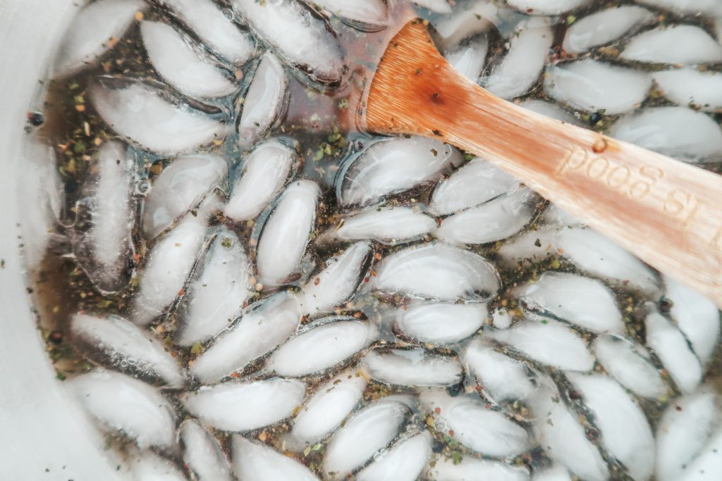 adding ice to brine - The Southerly Magnolia