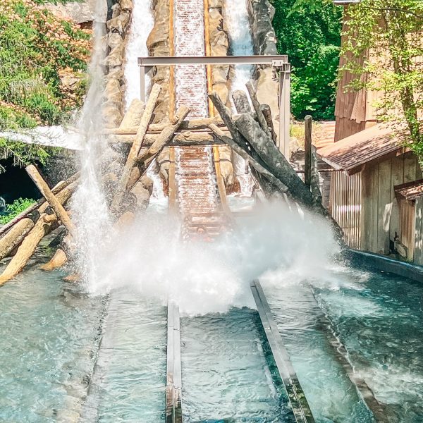Best Ways to Enjoy Dollywood Theme Park - The Southerly Magnolia